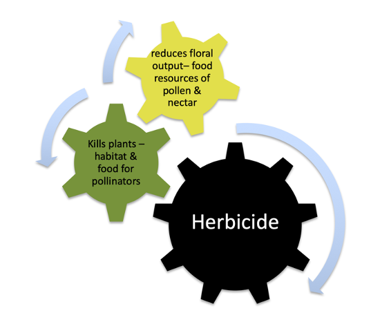 Bm Dooney Farms How Do Pesticides Affect Honey Bees
